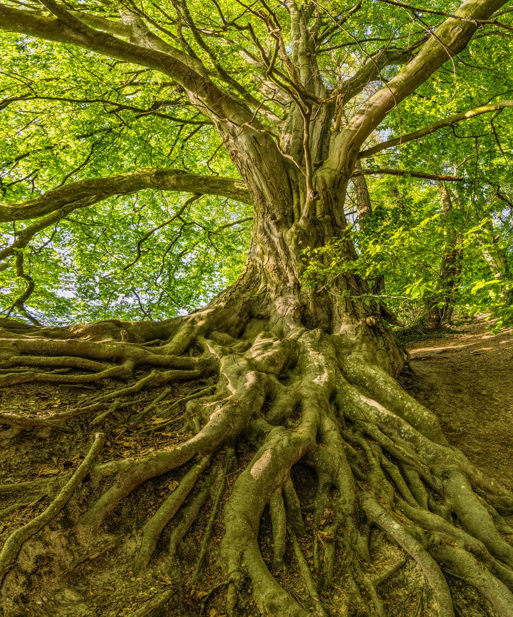 Focus On The Lessons By AMY TEMPLE – Welcome to See The Good